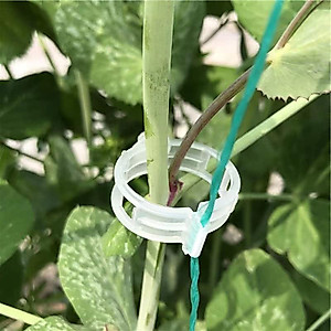 Dalzom® 300Pcs Tomato Clips, Plastic Trellis Clips Plant Support Clips, Plant Clips for Support, Grape Vine, Tomato Vine, Vegetables Plants, Garden Clips to Grow Upright Makes Plants Healthier