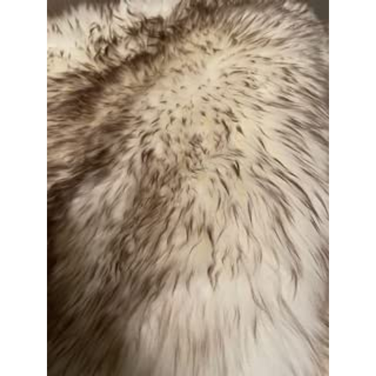 Genuine Natural Sheepskin Rug 4-Pelt Real Fur 71"x41"x 2" Premium Grade Australia and New Zealand Ethically Sourced by Windward (Ivory/White)
