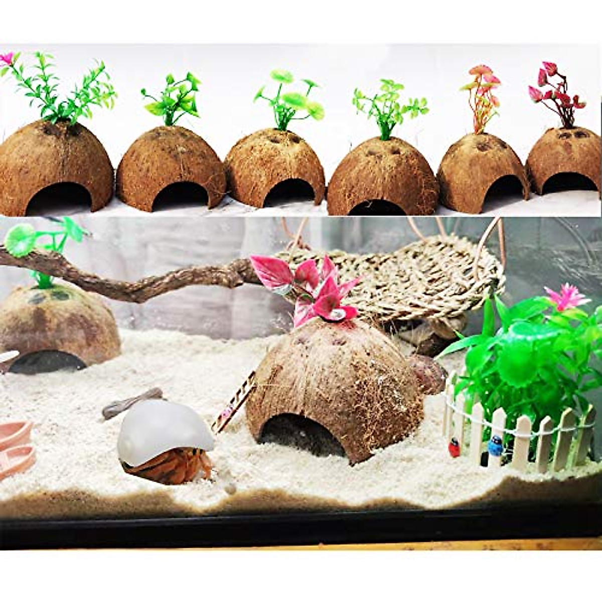 Hermit Crab Shells Natural Coconut Shell Hut Artificial Plants 19 PCS Decoration Supplies House Tank