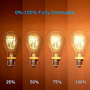 4-Pack Edison Light Bulb, 60 Watts, A19 Vintage Incandescent Light Bulbs, Dimmable Old Fashioned E26 Incandescent Light Bulbs, 240 Lumens, 2100K Warm White, Amber Glass