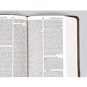 ESV Value Large Print Compact Bible (TruTone, Teal, Ornament Design Size: 8.0)