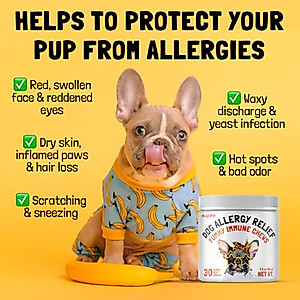 Allergy Relief Chews for Dogs & Immune & Digestive Supplement 30 Soft Treats and Wild Alaskan Salmon Oil for Dogs & Cats 32 oz
