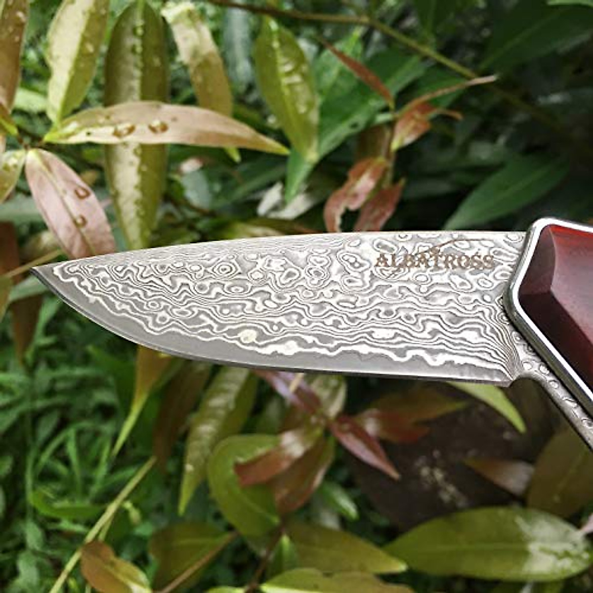 ALBATROSS HGDK001 EDC Classic Damascus Folding Camping Pocket Knives With Liner Lock,Cocobolo Wood Handle,Gifts/Collections
