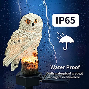 Solar Lights owl Gifts Outdoor Garden Ornaments Resin Owls Solar led Lights Outdoor Garden Stake Waterproof Lighting for Lawn, Patio, Walkway, Christmas Gifts (owl)