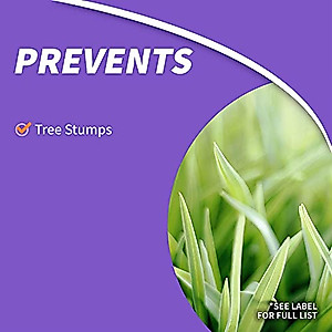 Bonide 272 1 Lb Granules Stump-Out