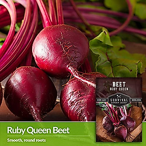 Survival Garden Seeds - Ruby Queen Beet Seed for Planting - Packet with Instructions to Plant and Grow Sweet Delicious & Nutritious Red Beets in Your Home Vegetable Garden - Non-GMO Heirloom Variety