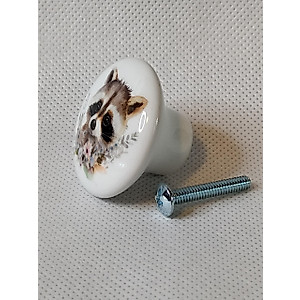 Watercolor Spring Baby Animals by DC DECORATIVE Ceramic Dresser Drawer PULLS Cabinet Cupboard KNOBS (0017 Raccoon)