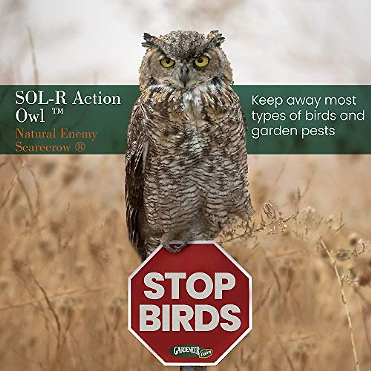 Dalen Fake Owl Decoy to Scare Birds Away from Gardens, Rooftops, and Patios - Scarecrow Provides Chemical-Free Pest Control - Safe and Humane, 18" 360º Rotating Head