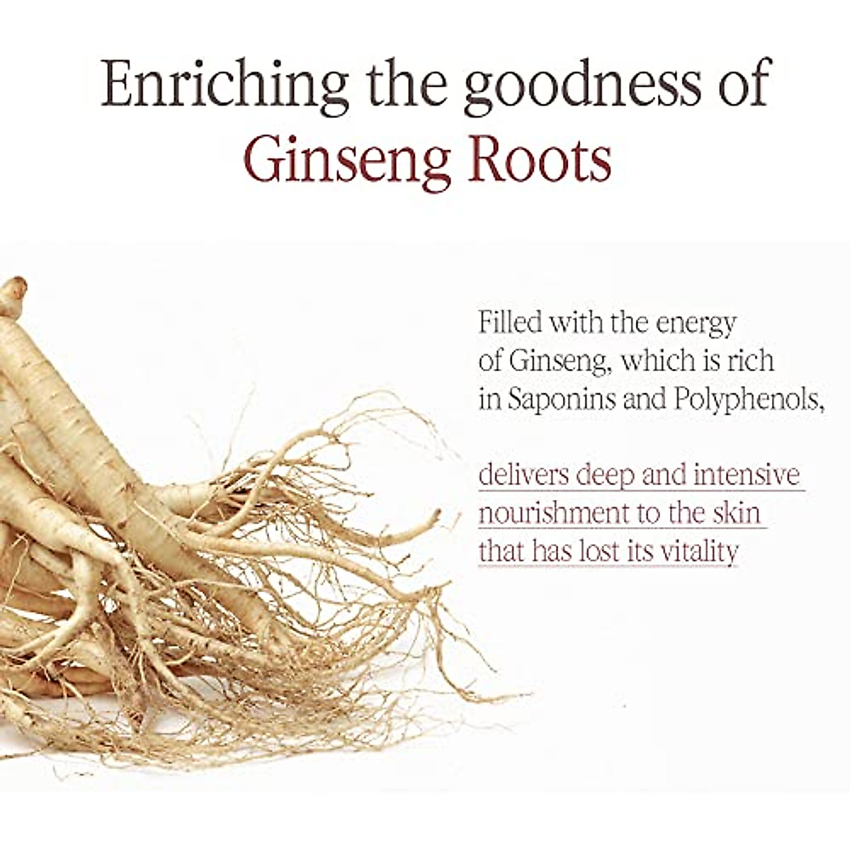 yunkang Yul Black Tea Enriched Cream, Korean Anti-Aging Face Cream Moisturizer for Women, Wrinkle Care, Skin Brightening with Peptide and Adenosine 60ml