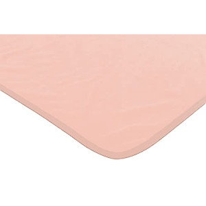 Northwest Princess and The Frog Micro Raschel Throw Blanket, 46" x 60", Blossoming Tiana