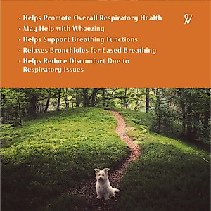 2024 Everpath Upgraded Respiratory Support for Dogs - 2 Fluid Ounces/60mls | Made in The USA | Boosts Immune Support & Healthy Breathing | Enhances Respiratory Function | Natural Solution for Pets