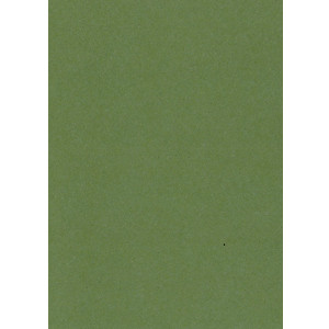 Shady Grove Green - Wool Felt Oversized Sheet - 35% Wool Blend - 1 12x18 inch Sheet