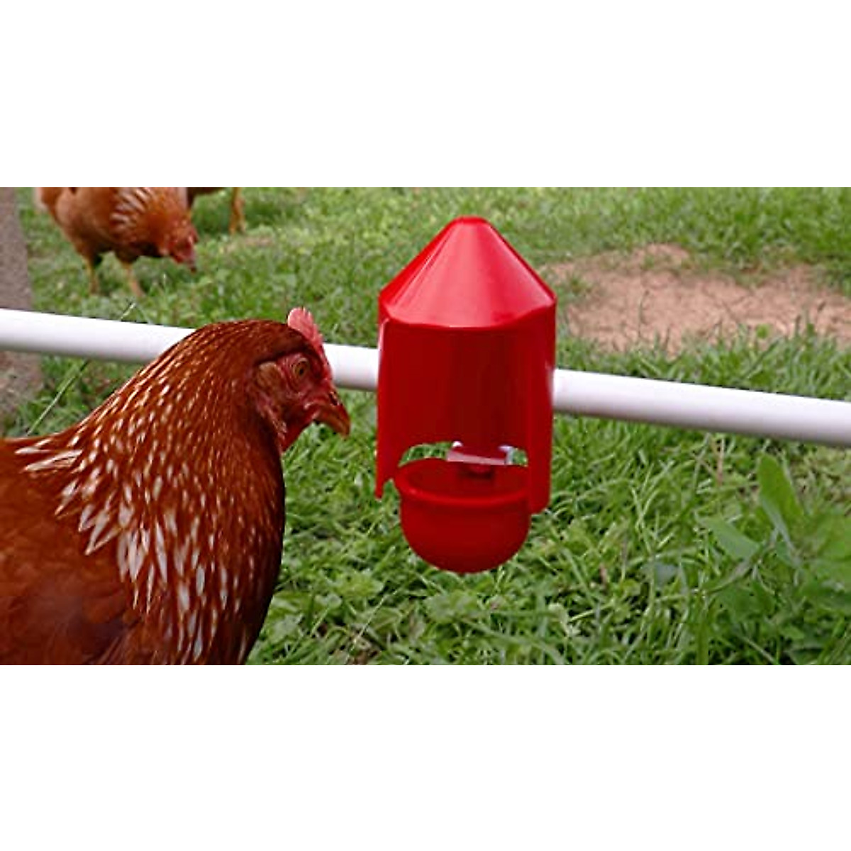 RentACoop Anti-Dirt Chicken Water Cup Covers - Compatible with Any RentACoop DIY Cups and Waterers - 6 Pack