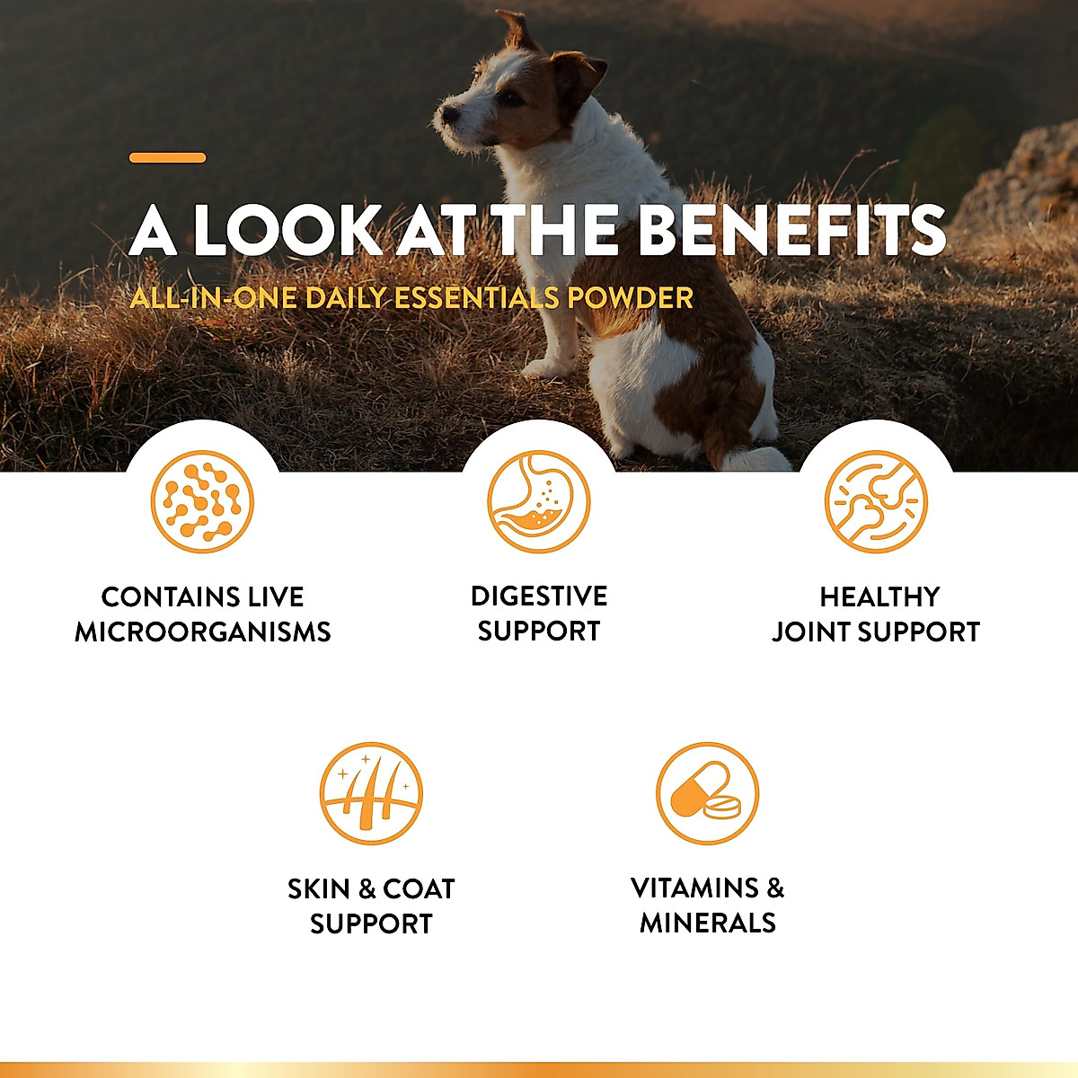 NaturVet All-in-One Dog Supplement - for Joint Support, Digestion, Skin, Coat Care – Dog Multivitamins with Minerals, Omega-3, 6, 9 – Wheat-Free Vitamins for Dogs – 13-Ounce Powder