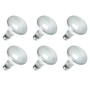 Sylvania 15160-6 120-Volt 65-Watt Flood Lamp Bulbs (6 Pack)