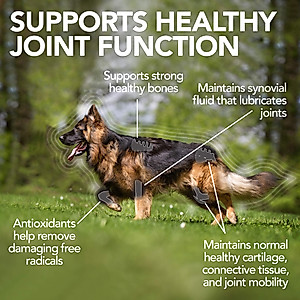 Vet's Best Advanced Hip & Joint Dog Supplements | Formulated with Glucosamine and Chondroitin to Support Dog Joint and Cartilage Health (90 Tablets, 2 Pack)