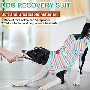GreenJoy Get-Well-Soon Dog Surgery Recovery Suit - Soft Breathable Dog Onesie Post Spay,Neuter,E-Collar & Cone Alternative Dog Bodysuit for Small, Medium, Large Dogs (Green Stripes, XL)