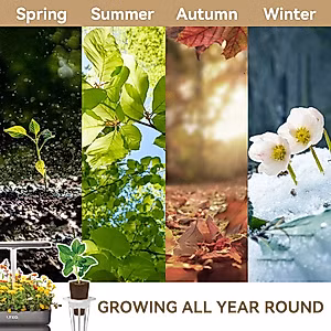 LYKO Basil Cilantro Dill Mint Seed Starter Kit for Hydroponics Growing System, Vegetable Pod Kits for Planting Indoor Garden 500+ Seeds (Basil, Parsley, Oregano, Thyme, Mint, Cilantro & Dill) 7 Pods