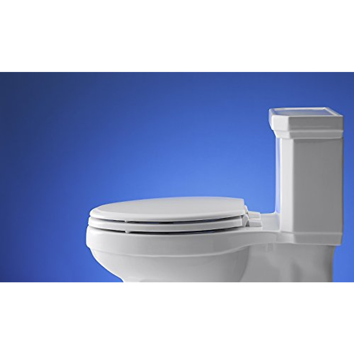 KOHLER K-4694-0 Ridgewood Molded-Wood with Color-Matched Plastic Hinges Elongated Toilet Seat, White