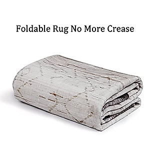 RUGSREAL Modern Geometric Indoor Area Rug Stain Resistant Washable Rug Anti Slip Low Profile Pile Bordered Area Rug Contemporary Rug for Living Room Bedroom Kids Room, 4' x 6' Taupe