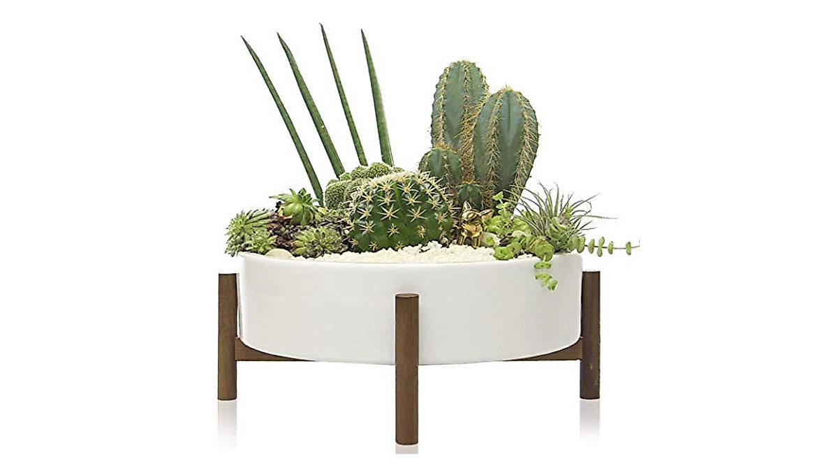 Kimisty 10 Inch Succulent Planter with Wood Stand