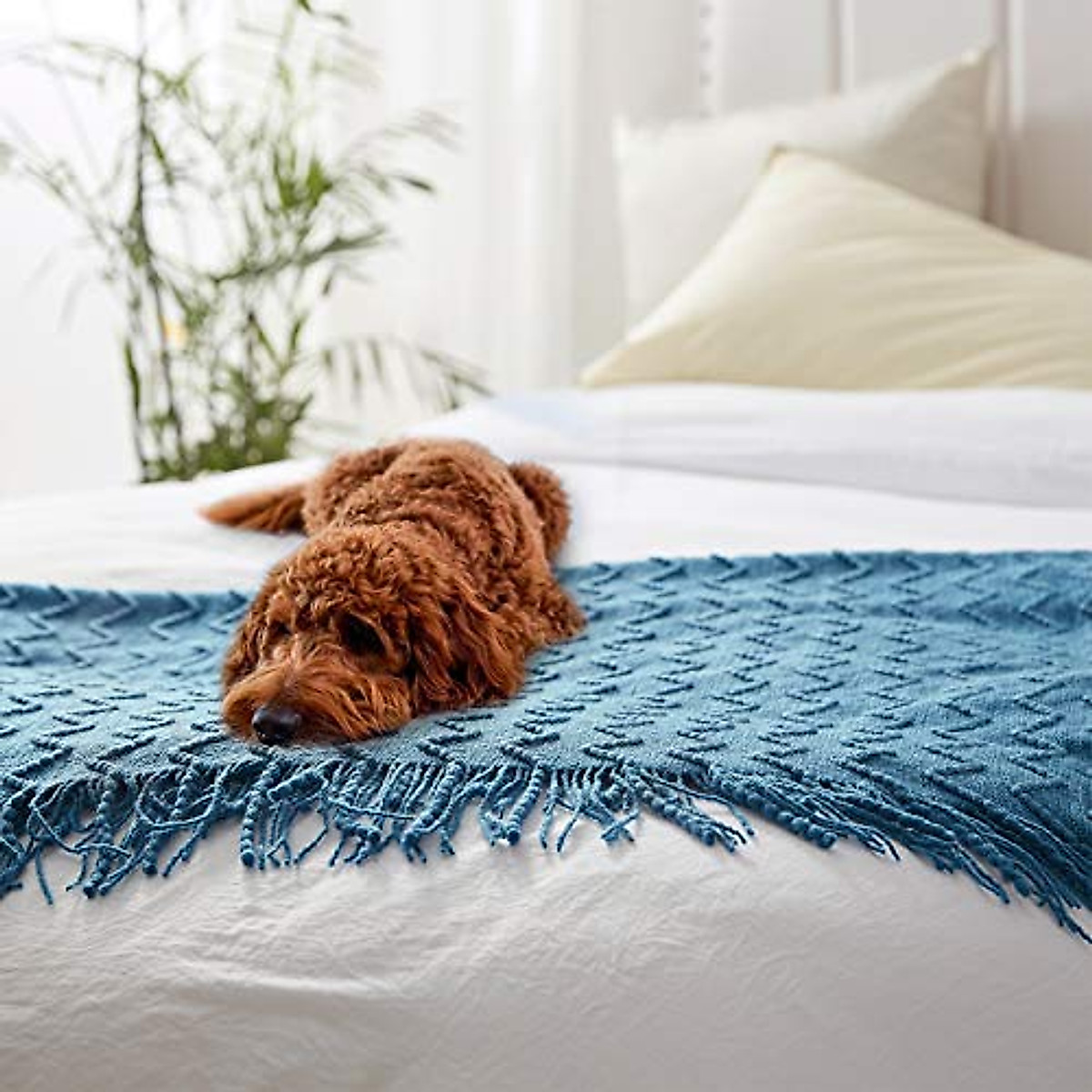 NexHome Throw Blanket for Bed Blue Decorative Knit Blanket with Tassel Fringe Soft Lightweight Zigzag Textured Boho Throws (50"x60" Royal Blue)