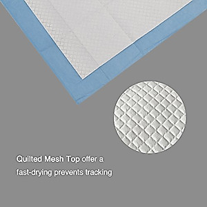Petfamily Super-Absorbent Dog Training Potty Pee Pads Puppy Piddle Pads (100-Count)