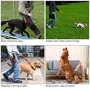 PLUTUS PET Reflective Martingale Collar with Quick Snap Buckle,No Pull Dog Choker Collar for Small Medium Large Dogs,L,Orange