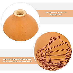 DOITOOL Natural Wine Gourd, Outdoor Portable Water Bottle with Stopper Chinese Feng Shui Hu Lu Gourd Ornament, Water, Wine, Medicine Gourd