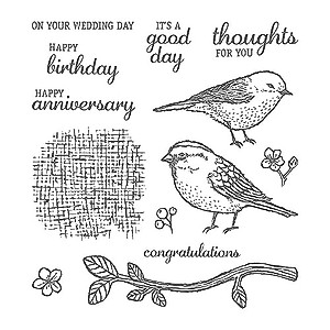 ZECNG Birds on Branches Clear Stamps Silicone Words for Card Making, Transparent Rubber Stamp and Die Sets for DIY Scrapbooking Decorate Photo Album Crafts