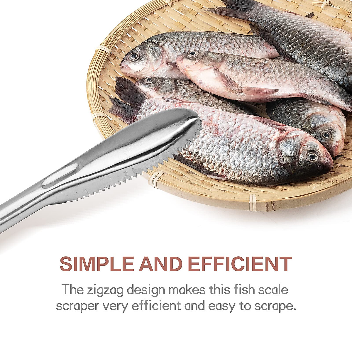 2 Pieces Fish Scaler Stainless Steel Fish Scaler Remover, Easily Remove Fish Scales Cleaning BrushTool Fish Scraper for Kitchen Fish Cleaning Tools