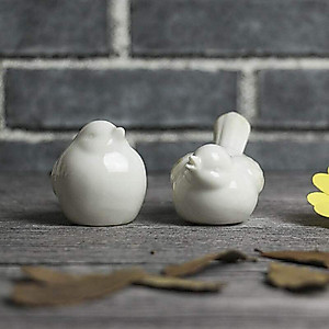 SENTOP, 2pcs Ceramic Bird Figurines,Modern Minimalist Animal Ornament Home Decor Mini Bird Figurine Gift for Garden Desktop Display Decor