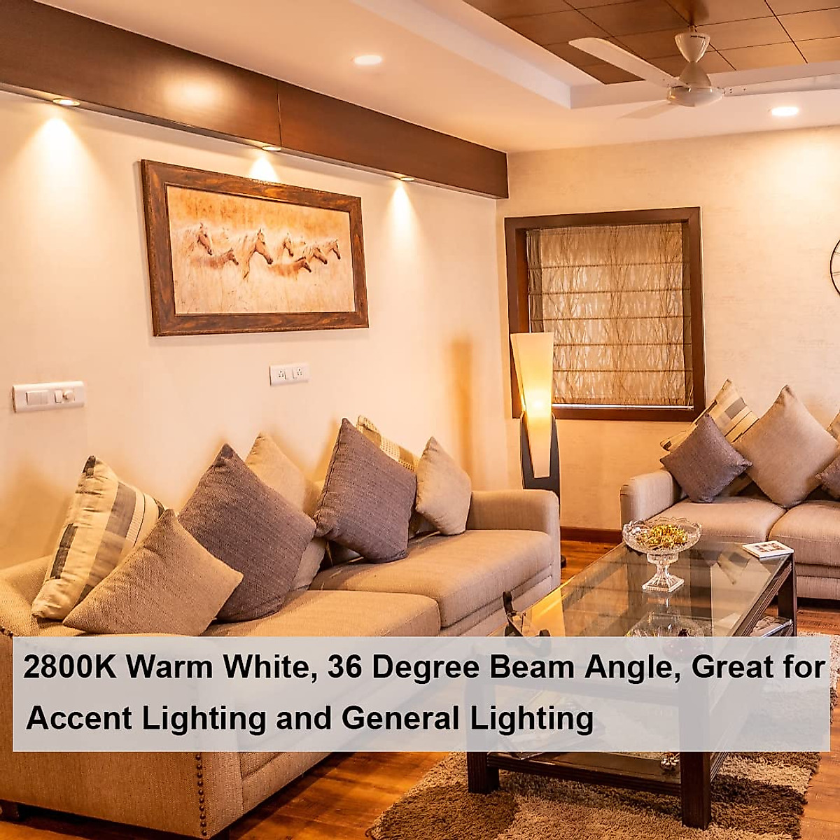 Rnyloas MR16 Halogen Bulb 50W Dimmable, High Brightness MR16 Bulb 12V Warm White 2800K with GU5.3 Base, MR16 GU5.3 Bulb 36° Beam Angle with Clear Glass Cover for Long Lasting Lifetime