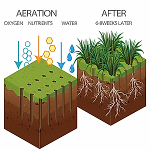 Walensee Lawn Aerator Spike Metal Manual Dethatching Soil Aerating Lawn with 15 Iron Spikes, Pre-Assembled Grass Aerator Tools for Yard, Lawn Aeration, Garden Tool, Revives Lawn Health, Patented