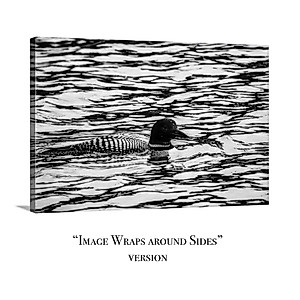 Black and White CANVAS Print Nature Photo Swimming Loon on Water Bird Photography Silver Gray Wall Art Monochrome Home Decor Ready to Hang