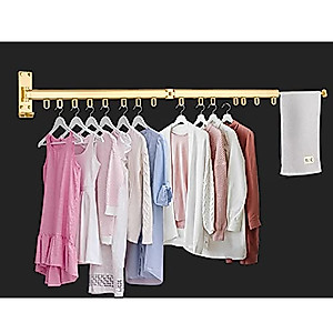 EAFTOS Drying Rack Balcony Outdoor and Indoor Invisible Perforated Window Sill Simple Outside The Window Telescopic Clothes Rail (Color : Gold, Size : 161x17.6cm)