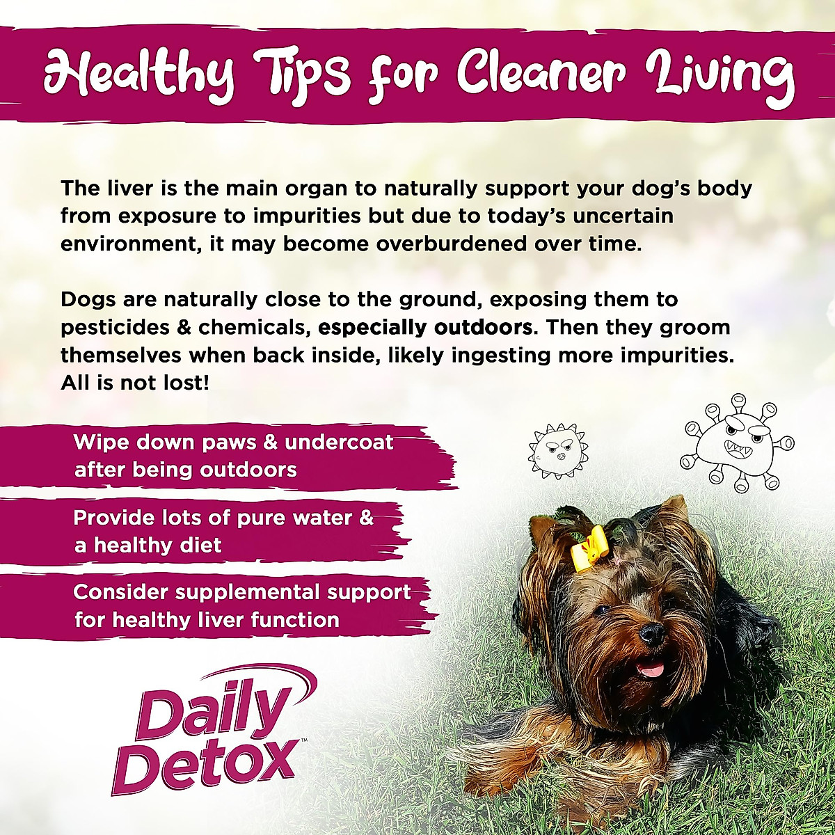 Vital Planet - Daily Detox for Dogs with MSM, Milk Thistle, Spirulina, and Turmeric, Supports The Immune System and Natural Cleansing of The Liver - 60 Beef Flavored Chewable Tablets