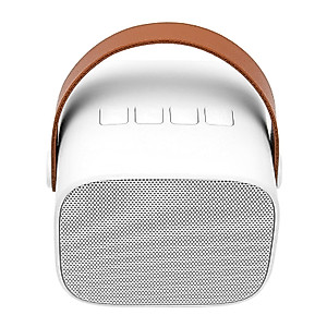 Portable Karaoke Machine, Reverb Sound Function Voice Changing Effects Portable Speaker Multifunction for Party for KTV (#1)