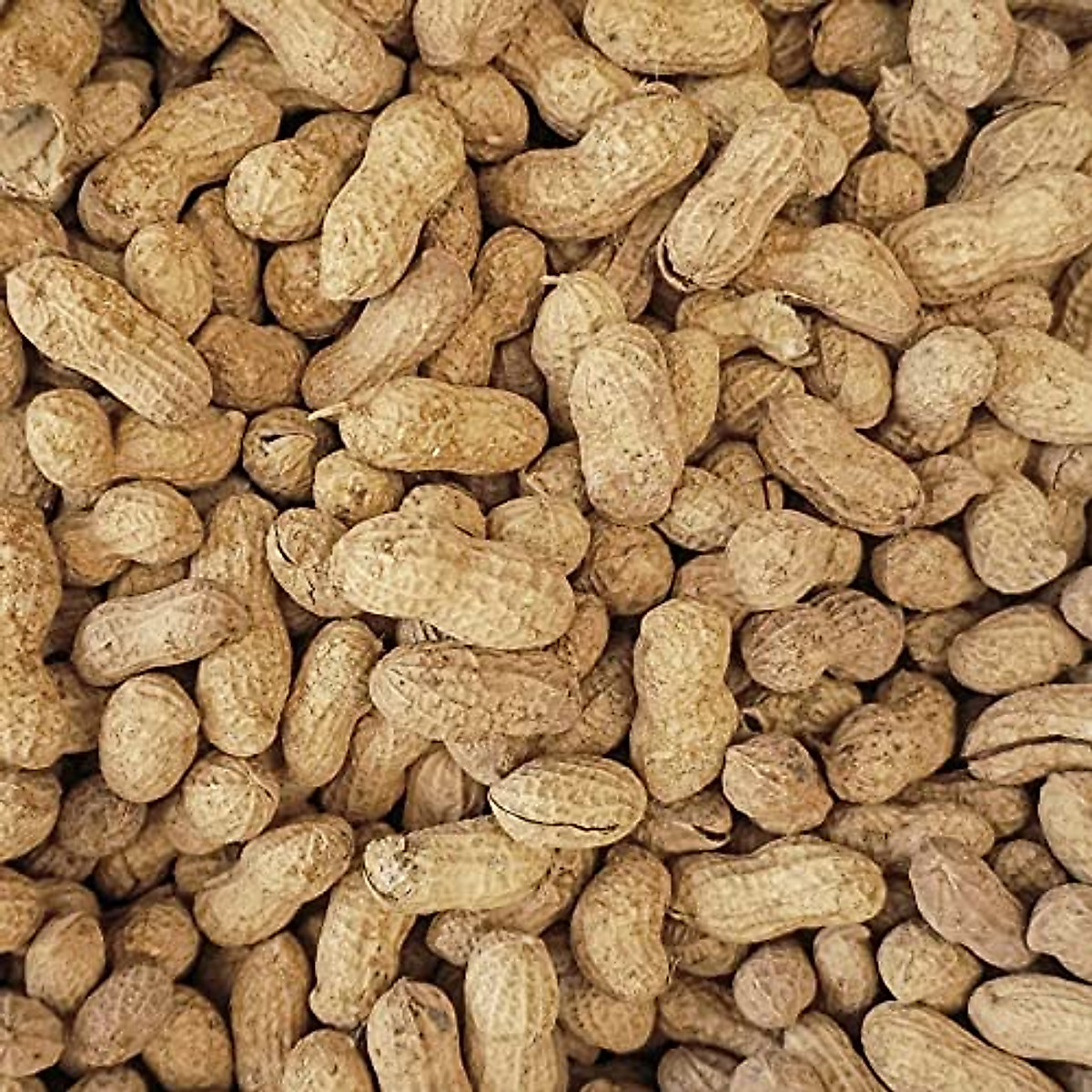 Wingfield Farm 25 Pound Virgin In Shell Raw Peanuts (Two 25lb Bag)