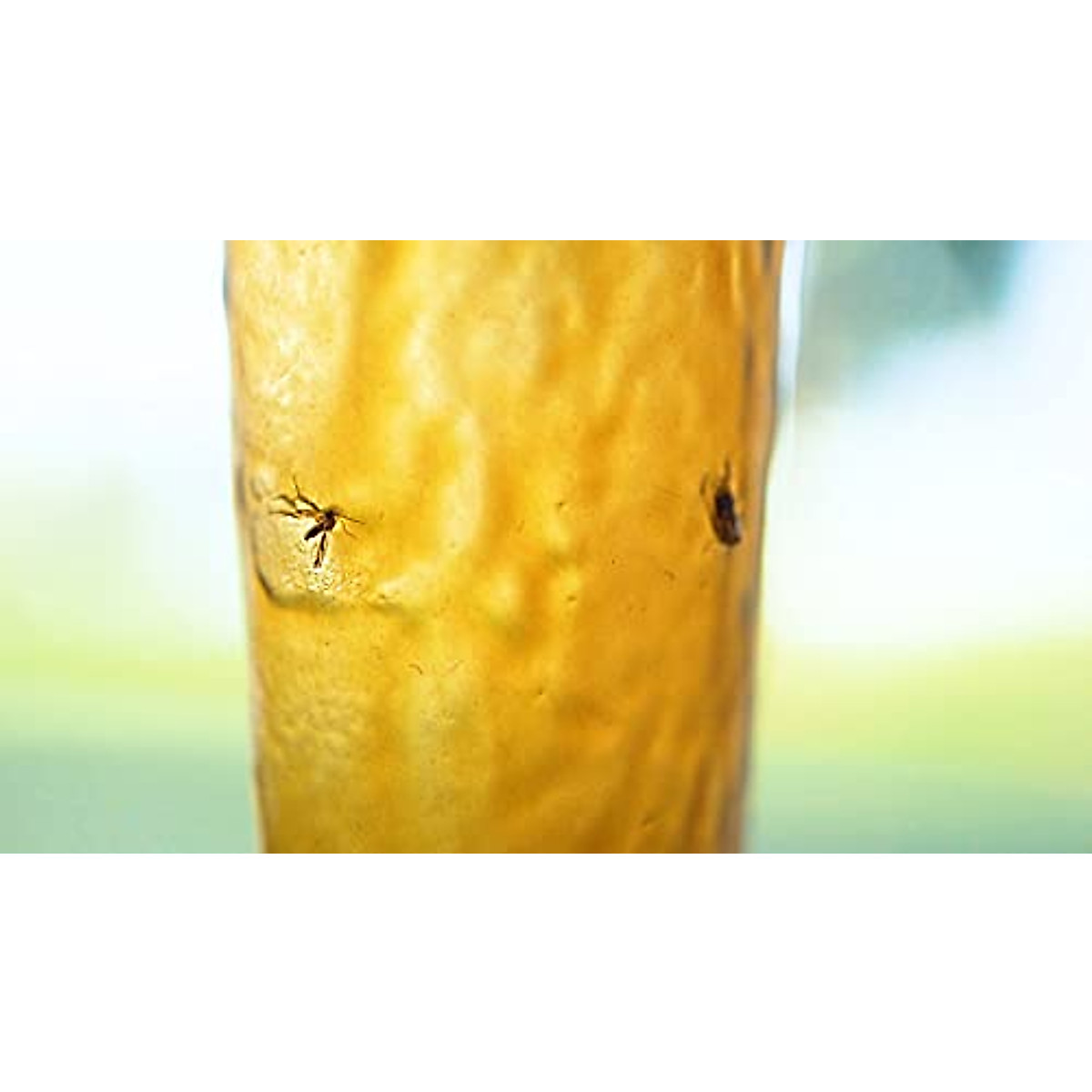 Raid FR10-RAID Fly Ribbon, 10 Count