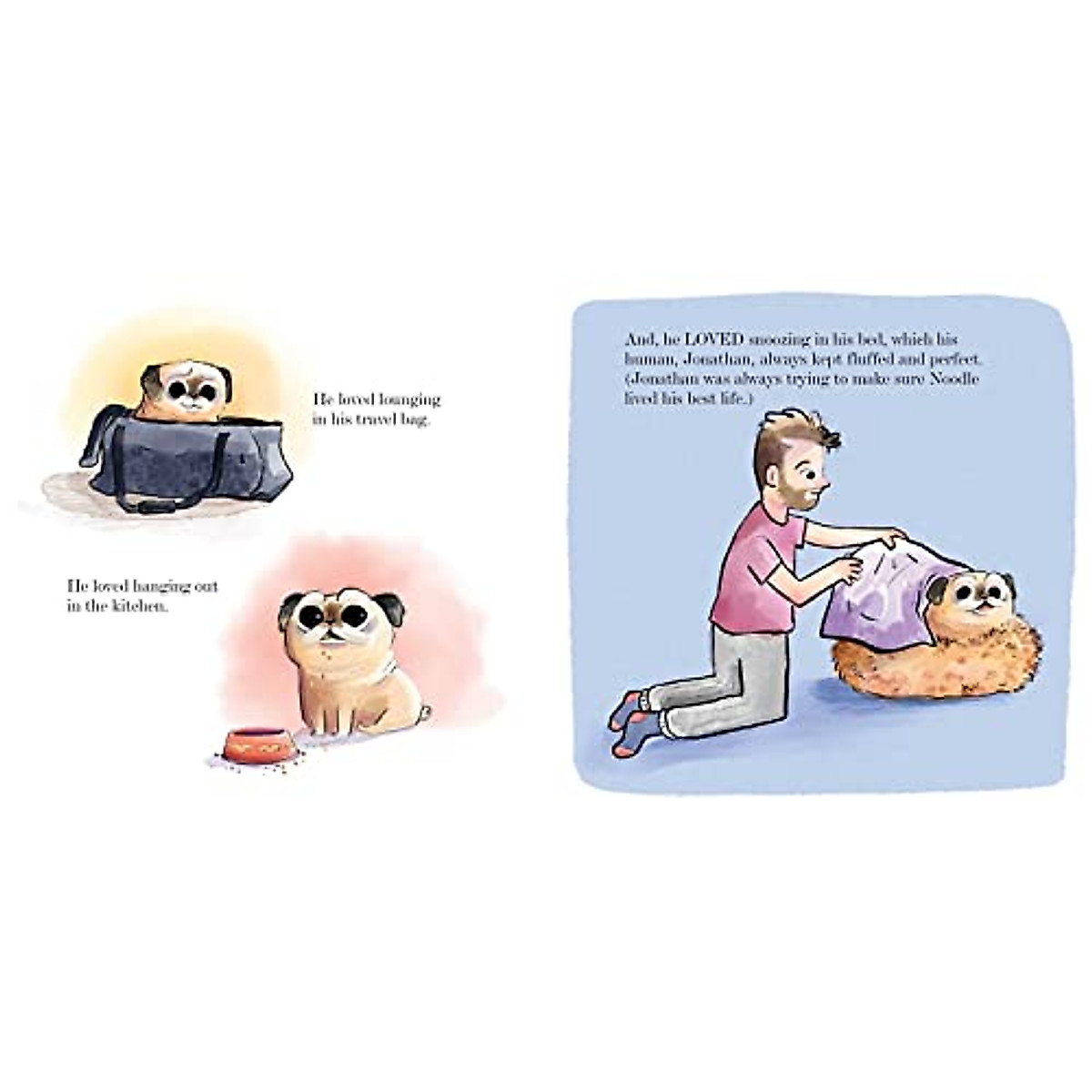 Noodle Conquers Comfy Mountain (Noodle and Jonathan)