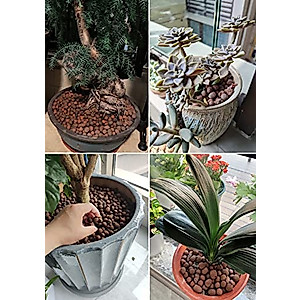 11LB Organic Expanded Clay Pebbles,for Soil Hydroponic Rocks Orchids,Indoor Plants,Succulents (11)