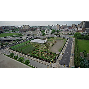 DEMAIN (DVD) (France TV) (French Edition)