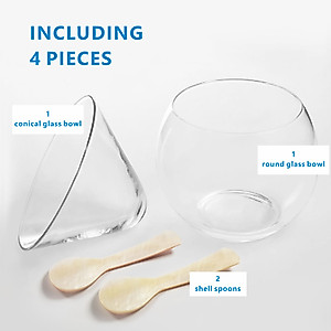 ThougrLyh Caviar Server Set Glass Caviar Dish with 2 Pcs Shell Caviar Spoons Chiller Server with Ice Holder for Shrimp Ice Cream Martinis and Cocktails Dishwasher Safe Caviar Serving Dish