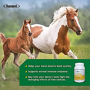 Ramard Total Topline Powder Horse Supplements - Build and Maintain Muscle Tissue During Recovery for Foals and Horses - Protein & Amino Energy Horse Supplement - 2lb Tub