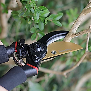 TOOLTENG Garden Bypass Pruning Shears, Heavy-Duty Garden Clippers, Tree Ttrimmers and Rose Pruning Shears, Multipurpose Garden Shears for Gardening, Arboriculture & Plant Nurseries (Black)