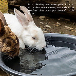 PINVNBY 12 Pieces Rabbit Himalayan Salt Lick Block,Pink Small Pets Natural Mineral Salts Blocks with Hook Hanging Small Animals Treat Chew Toys for Rabbits Horses Bunny