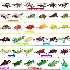 76 Pack Mini Plastic Bug Set, Realistic Insects Toy for Child, Fake Bugs Figure for Kid, Toddler, Insect Themed Party Favors Gift, Cupcake Topper, Education School Classroom reward, Sensory Bin Filler