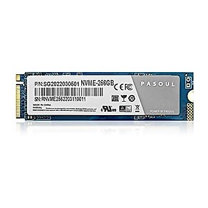 PASOUL SSD 256GB NVMe M.2 2280 PCIe Gen 3.0 x2 3D TLC Power Saving Up to 2000MB/s Write Up to 1200MB PAMNVMeM2-256