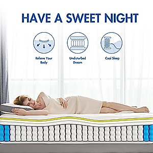 Twin XL Mattress,10" Memory Foam Hybrid Mattress with Pocket Spring,Medium-Firm Foam Mattress Tight Top Mattress Sleep Motion Isolation, Supportive & Pressure Relief,Mattress-in-a-Box by DIGLANT